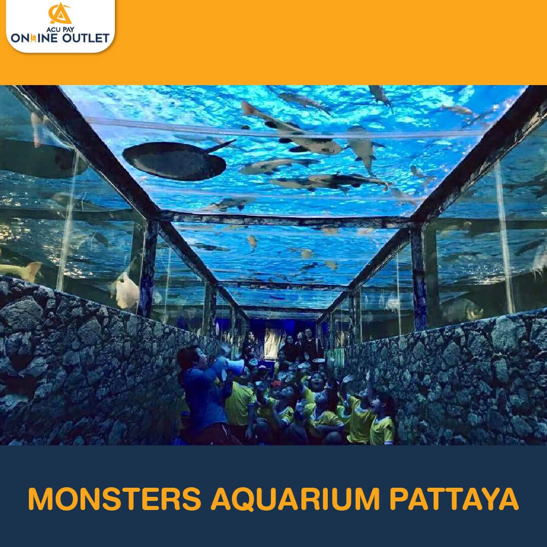 Explore the Underwater World at 7 Aquariums around BKK - ACU Pay