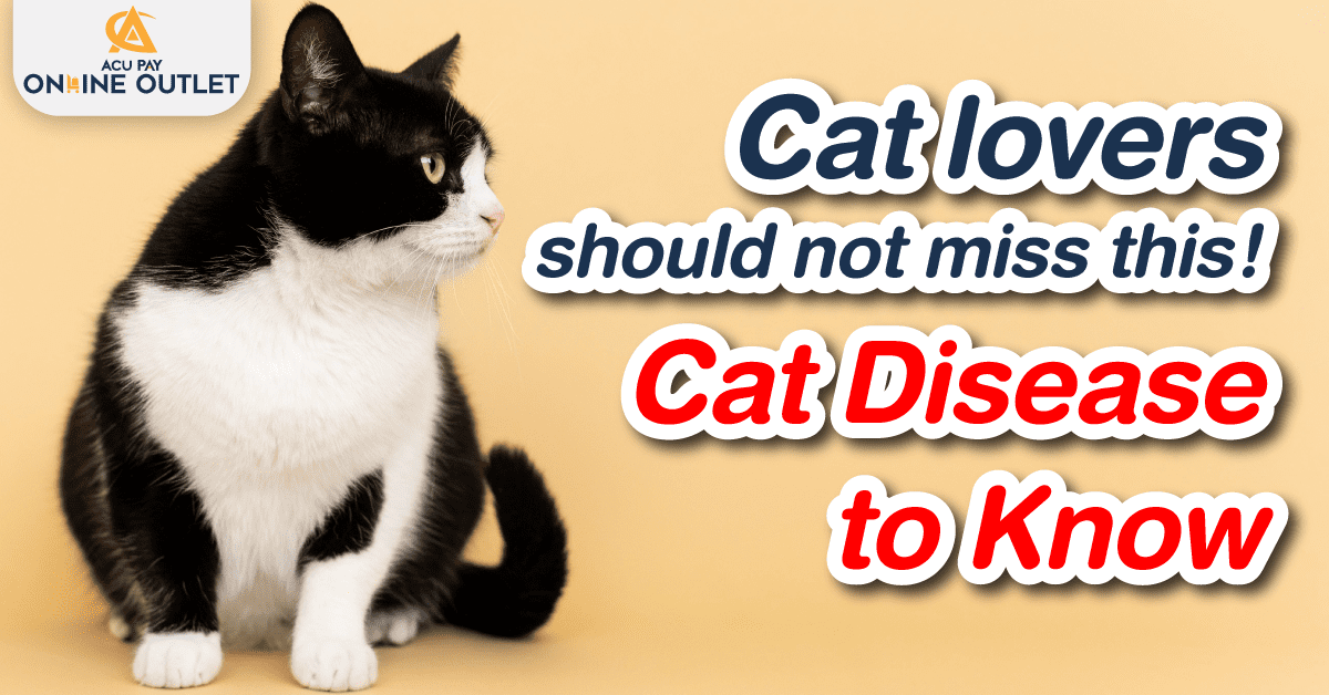Cat lovers should not miss this - ACU Pay