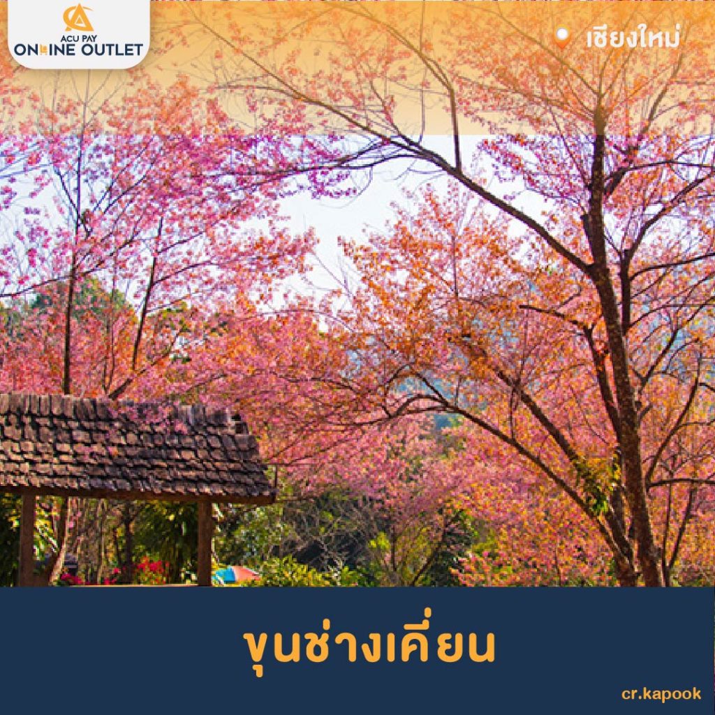 5 Recommended Tourist Attractions to Welcome Winter - ACU Pay