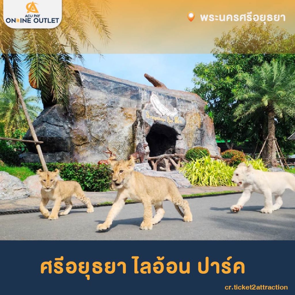 5 Recommended Tourist Attractions to Welcome Winter - ACU Pay