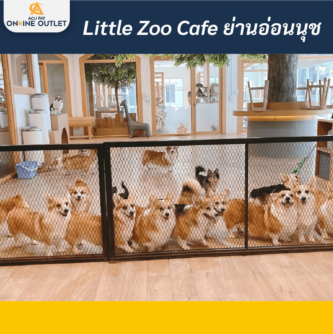 7 คาเฟ่สัตว์ยอดฮิตในกรุงเทพฯ - ACU PAY Thailand