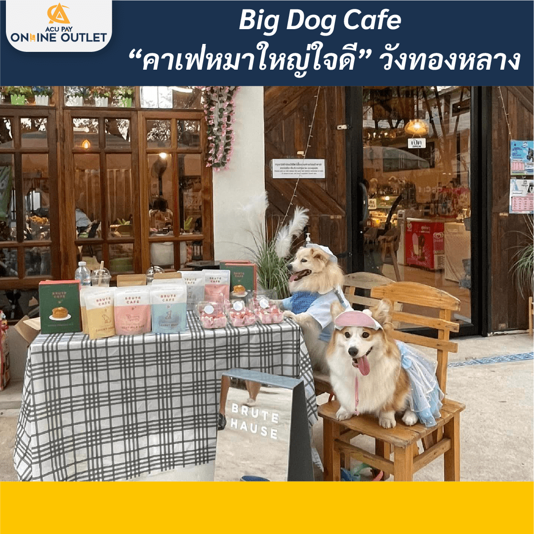 7 คาเฟ่สัตว์ยอดฮิตในกรุงเทพฯ - ACU PAY Thailand