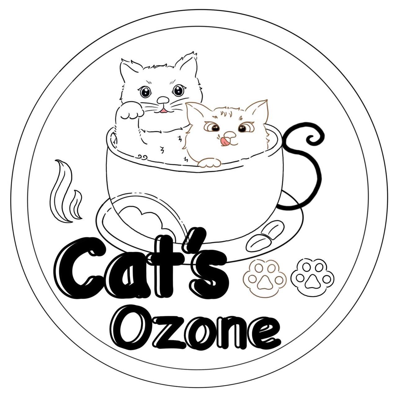 Cat’s Ozone คาเฟ่สำหรับทาสแมวและได้สัมผัสกาแฟที่หอมกรุ่น ย่านบางแค ...
