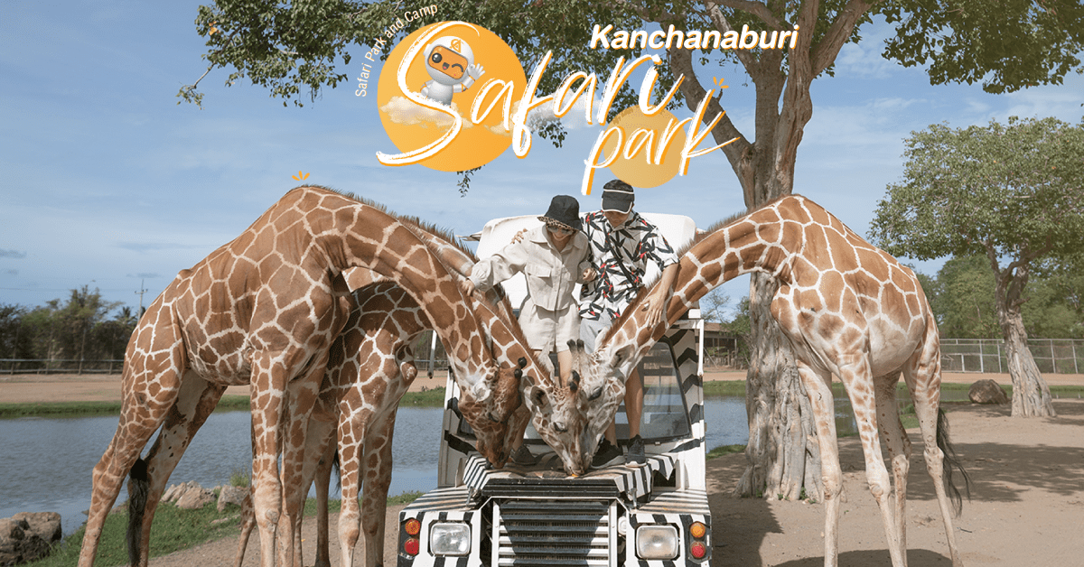 Safari Park Open Zoo & Camp - ACU Pay