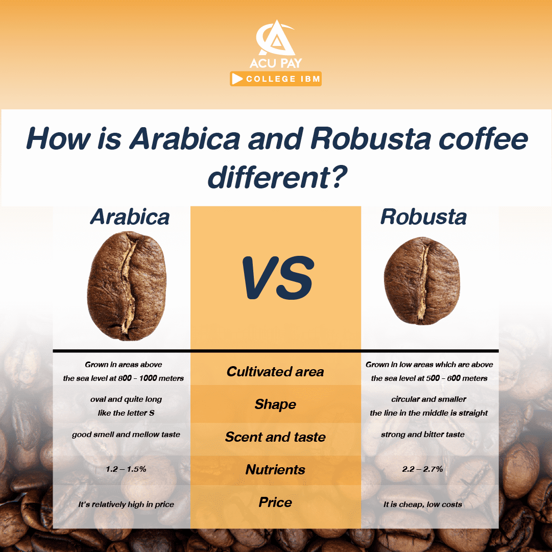 How is Arabica and Robusta coffee different? - ACU Pay