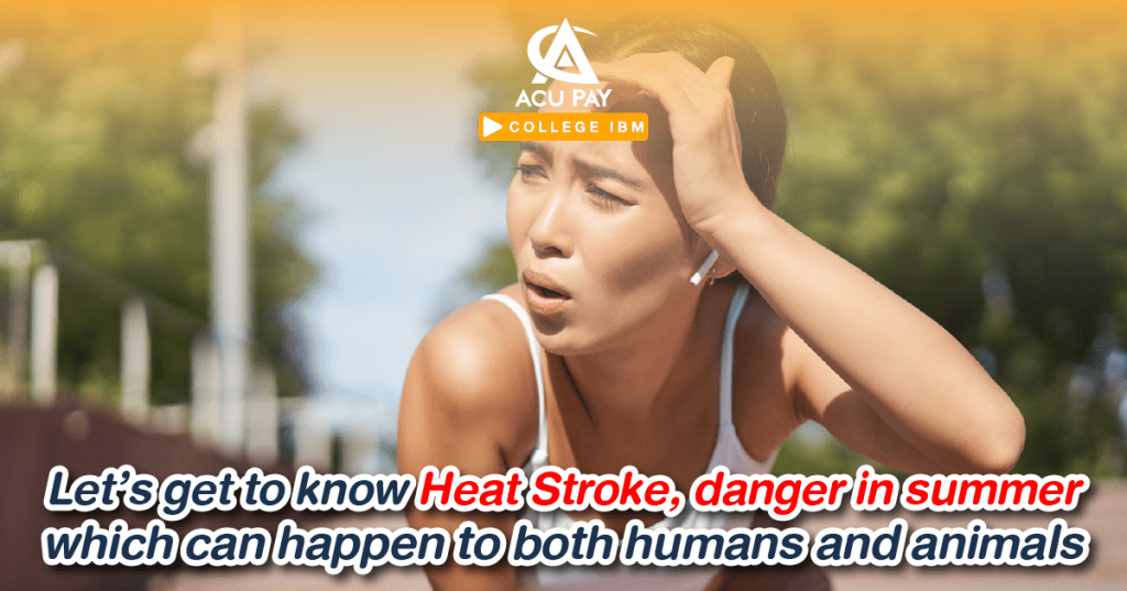 Let’s get to know Heat Stroke, danger in summer which can happen to ...