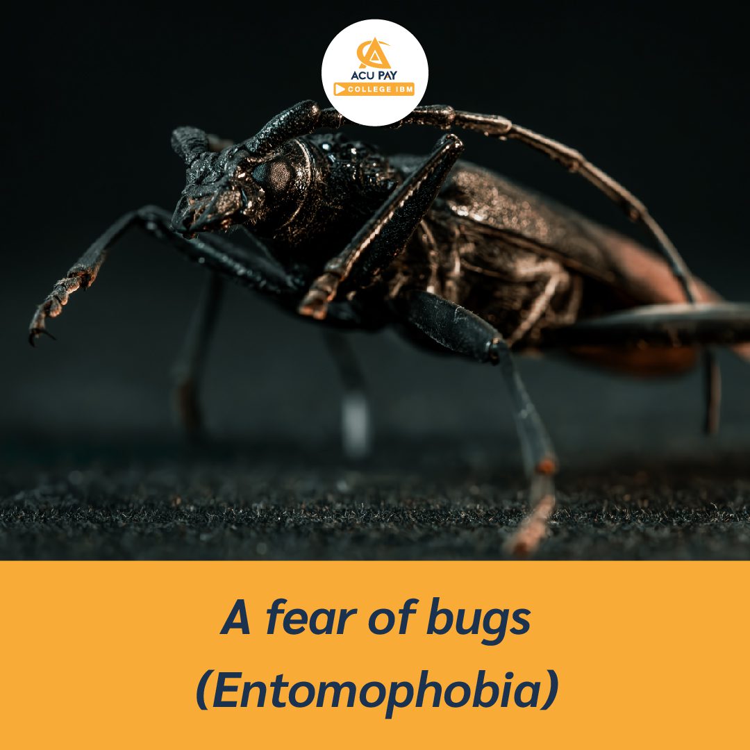 Strange Phobias that Actually Exist - ACU Pay