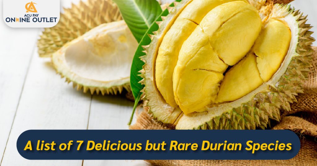 A list of 7 Delicious but Rare Durian Species - ACU Pay