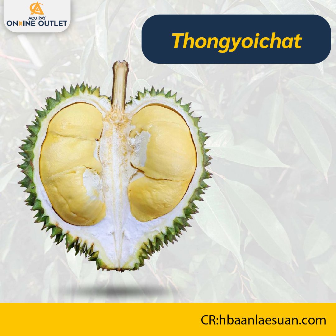 A list of 7 Delicious but Rare Durian Species - ACU Pay