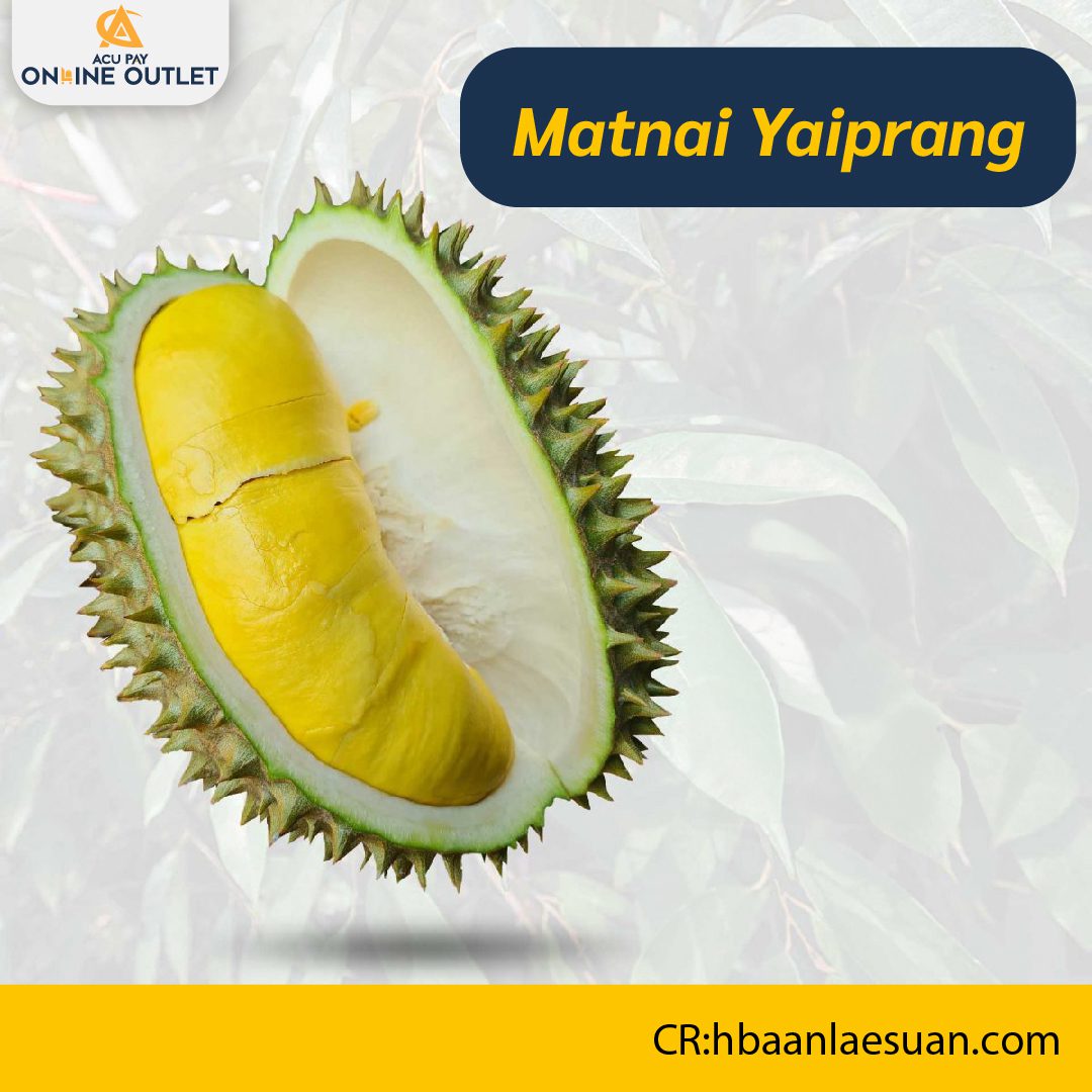 A list of 7 Delicious but Rare Durian Species - ACU Pay