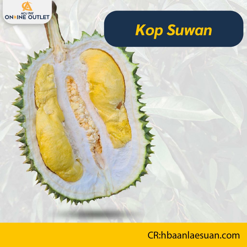 A list of 7 Delicious but Rare Durian Species - ACU Pay