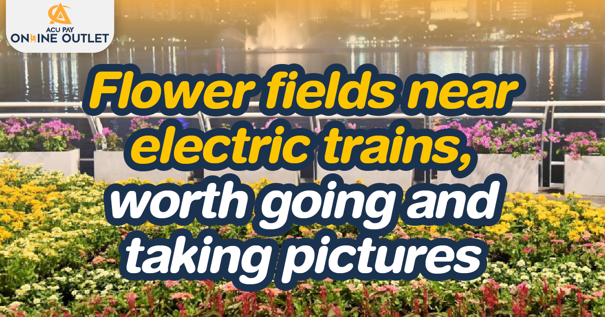 Flower fields near electric trains, worth going and taking pictures ...