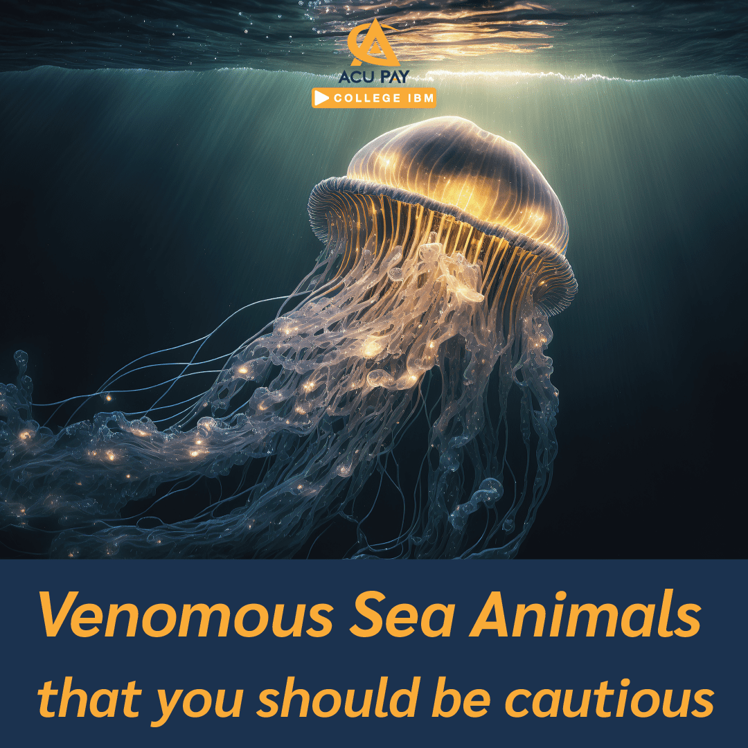 Venomous Sea Animals that you should be cautious - ACU Pay
