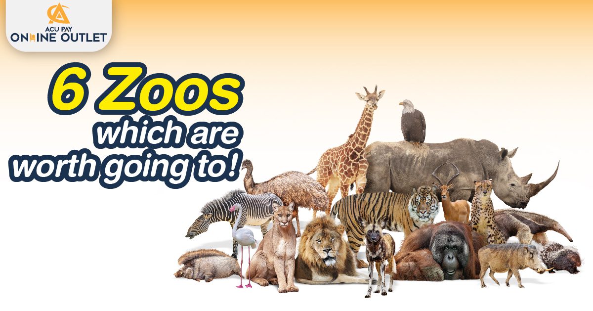 6 Zoos which are worth going to! - ACU Pay