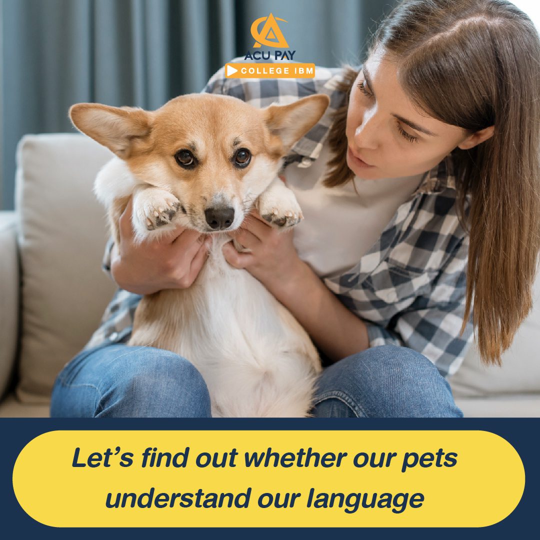 Let’s find out whether our pets understand our language - ACU Pay