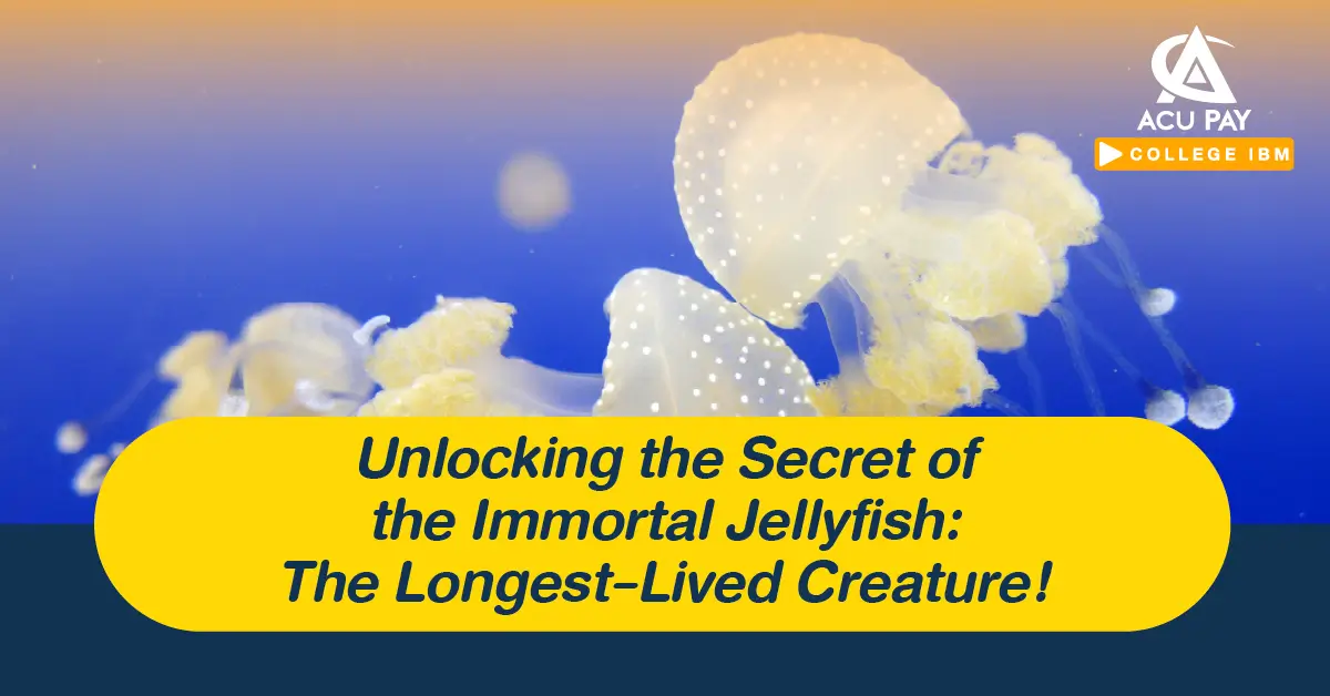 Unlocking the Secret of the Immortal Jellyfish: The Longest-Lived ...