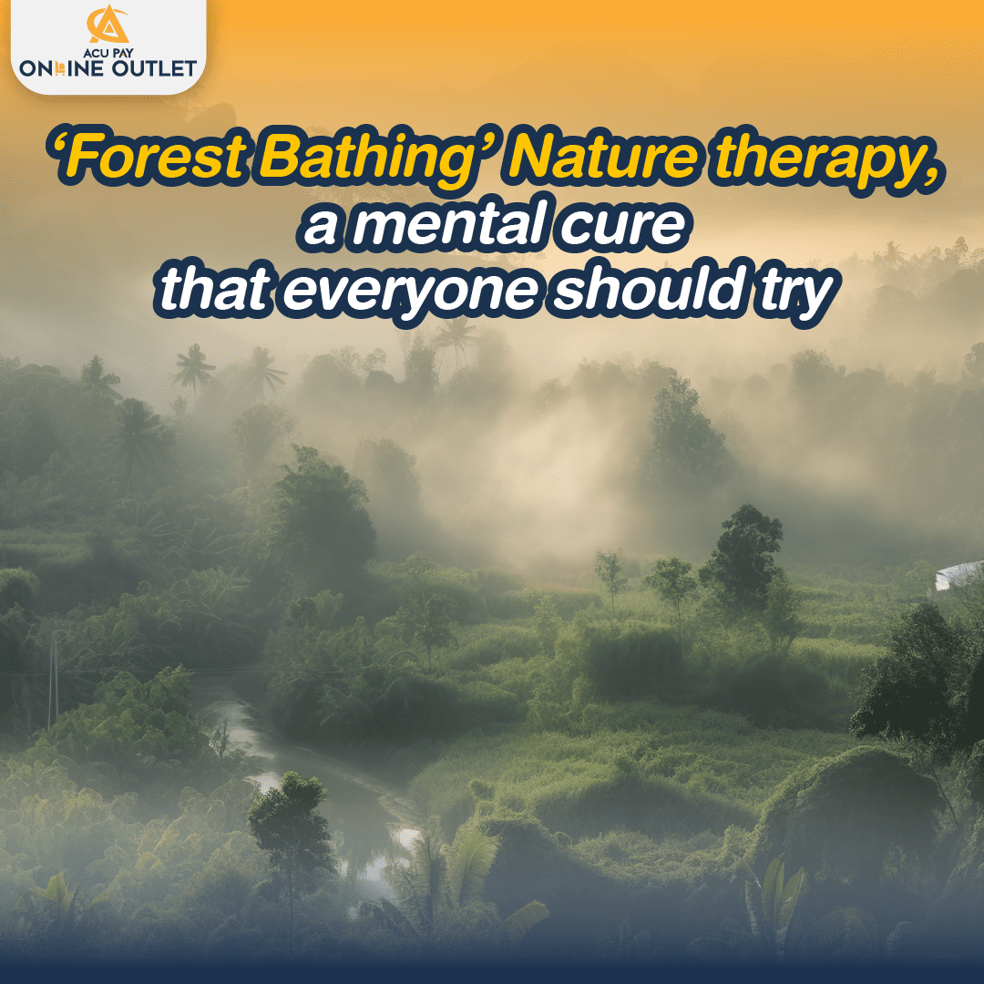 ‘Forest Bathing’ Nature therapy, a mental cure that everyone should try ...