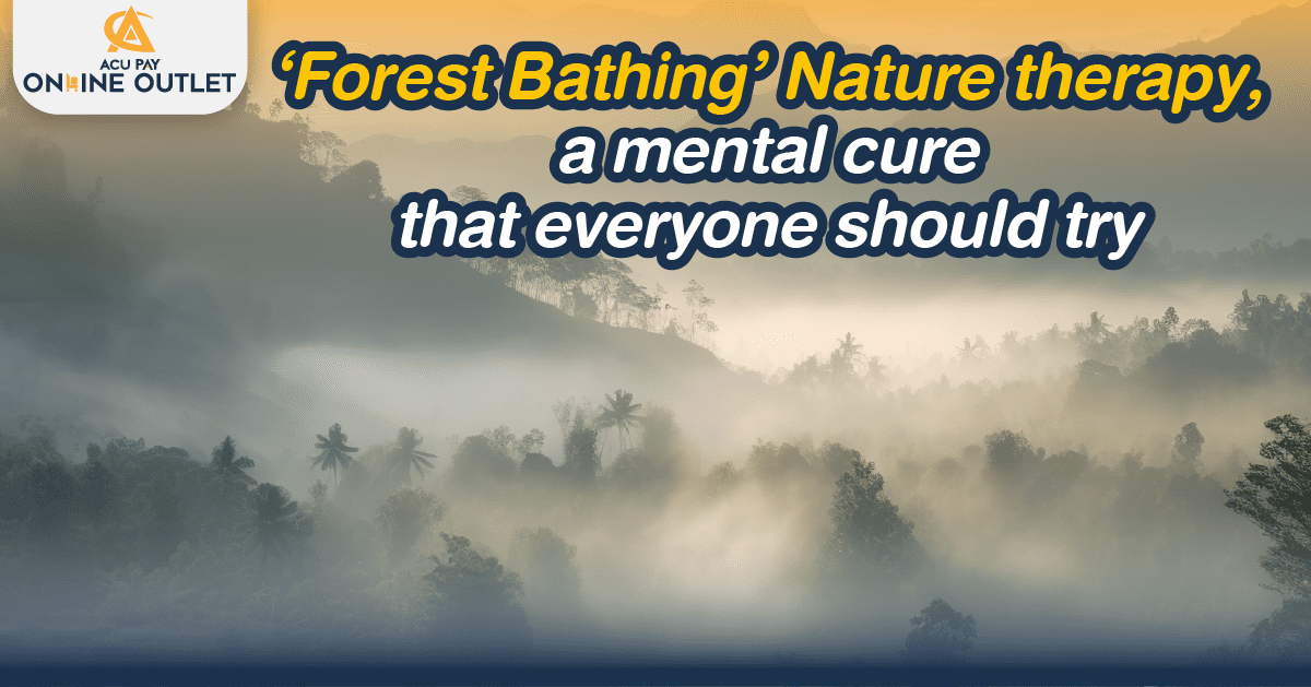 ‘Forest Bathing’ Nature therapy, a mental cure that everyone should try ...