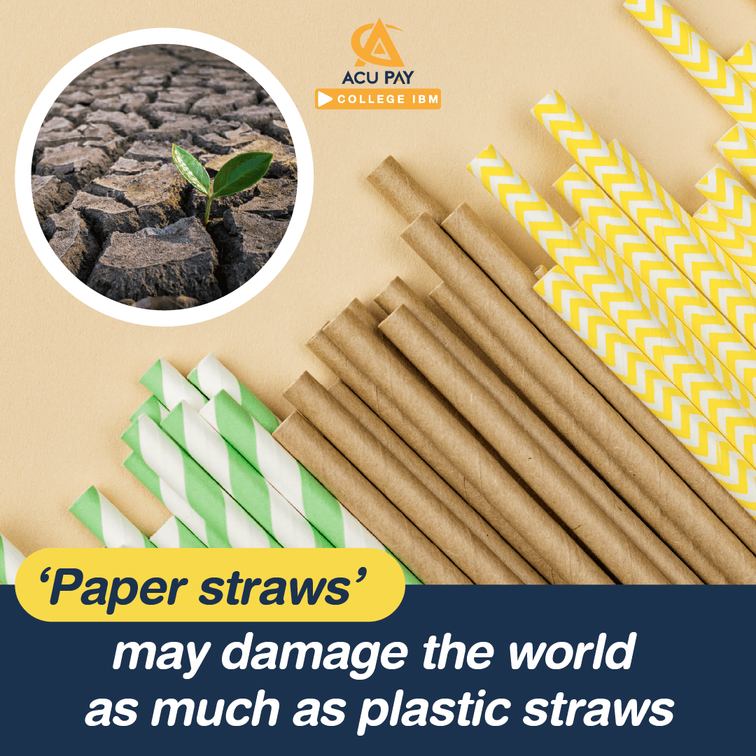 ‘Paper straws’ may damage the world as much as plastic straws - ACU Pay