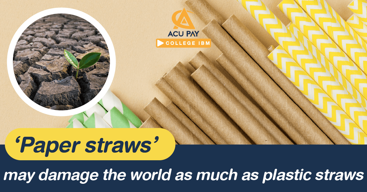 ‘Paper straws’ may damage the world as much as plastic straws - ACU Pay