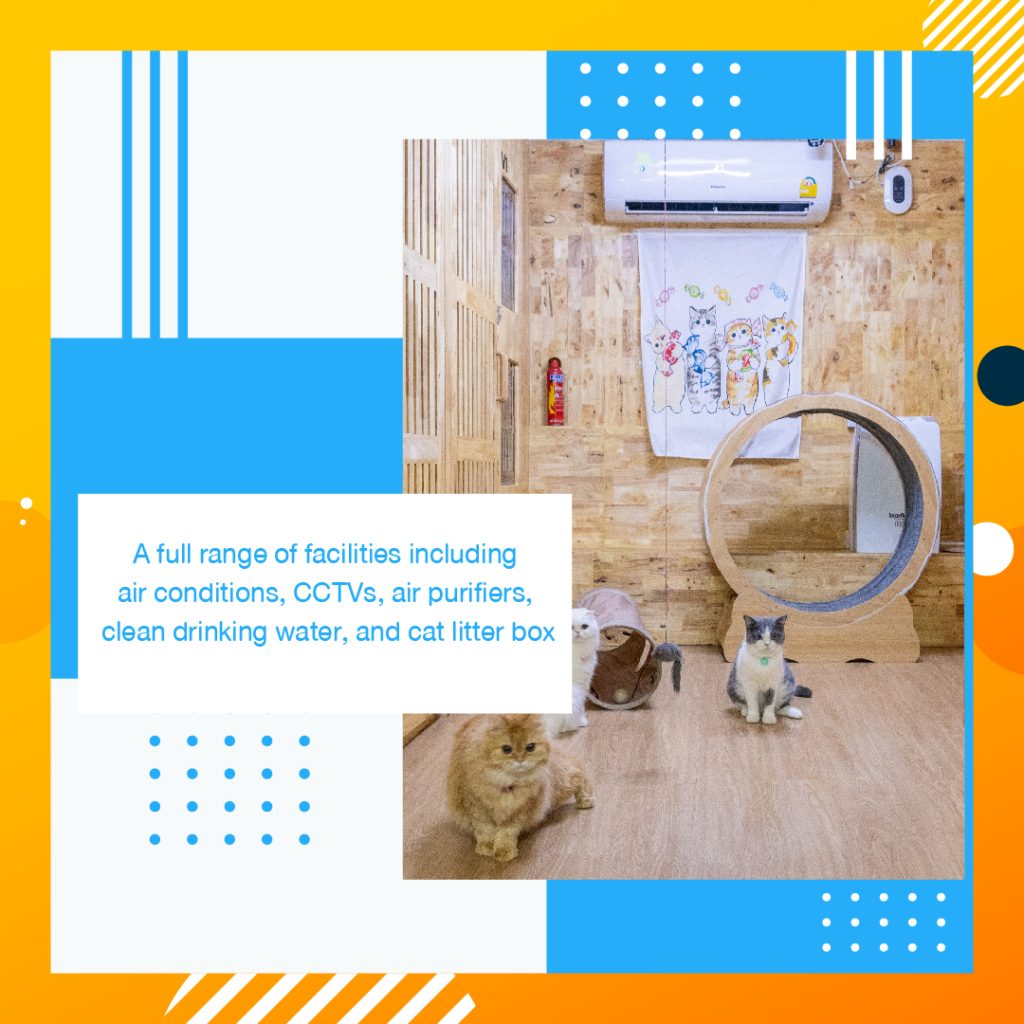 GoHan Cat Hotel, a friendly-priced cat hotel providing a comfortable ...