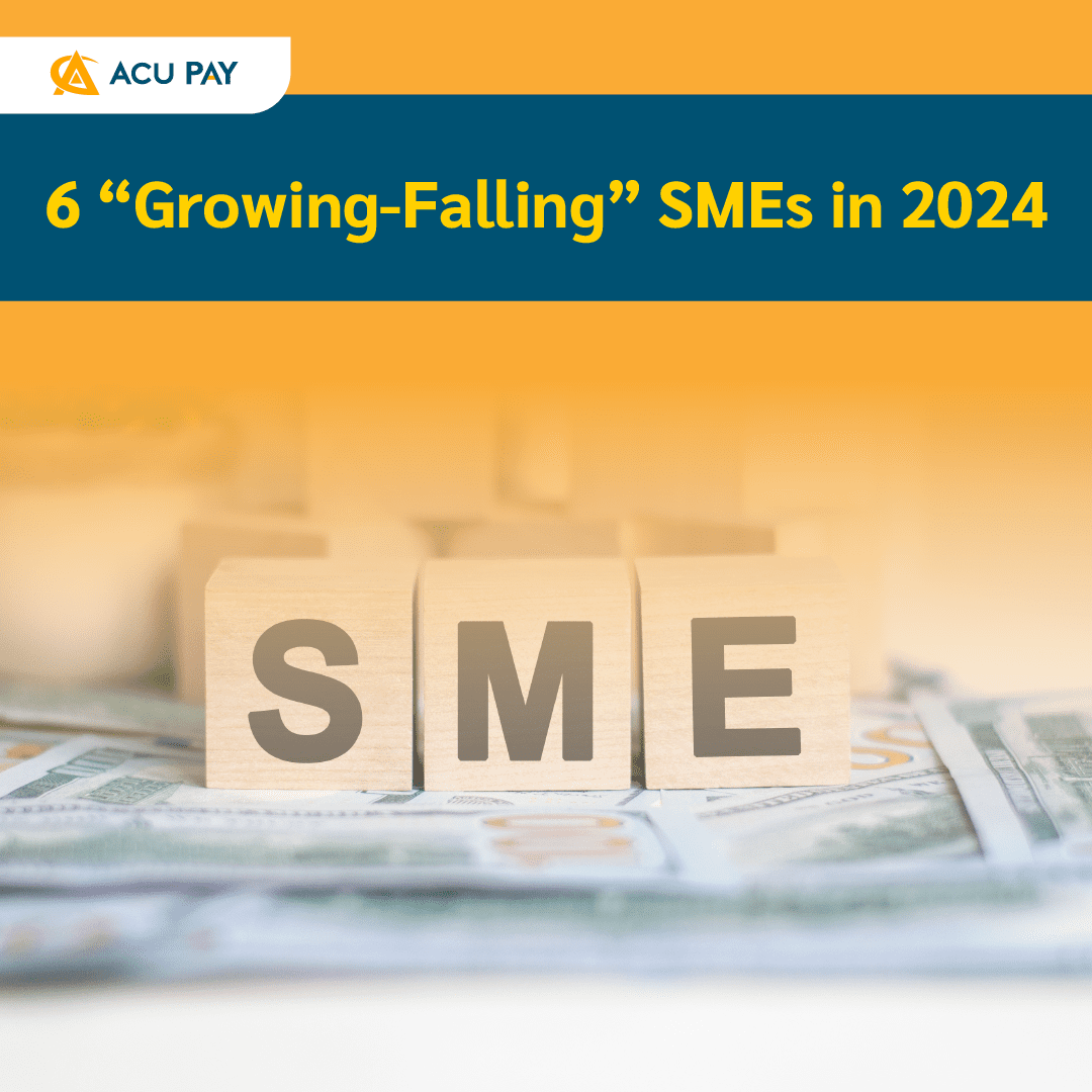 6 “Growing-Falling” SMEs in 2024 - ACU Pay