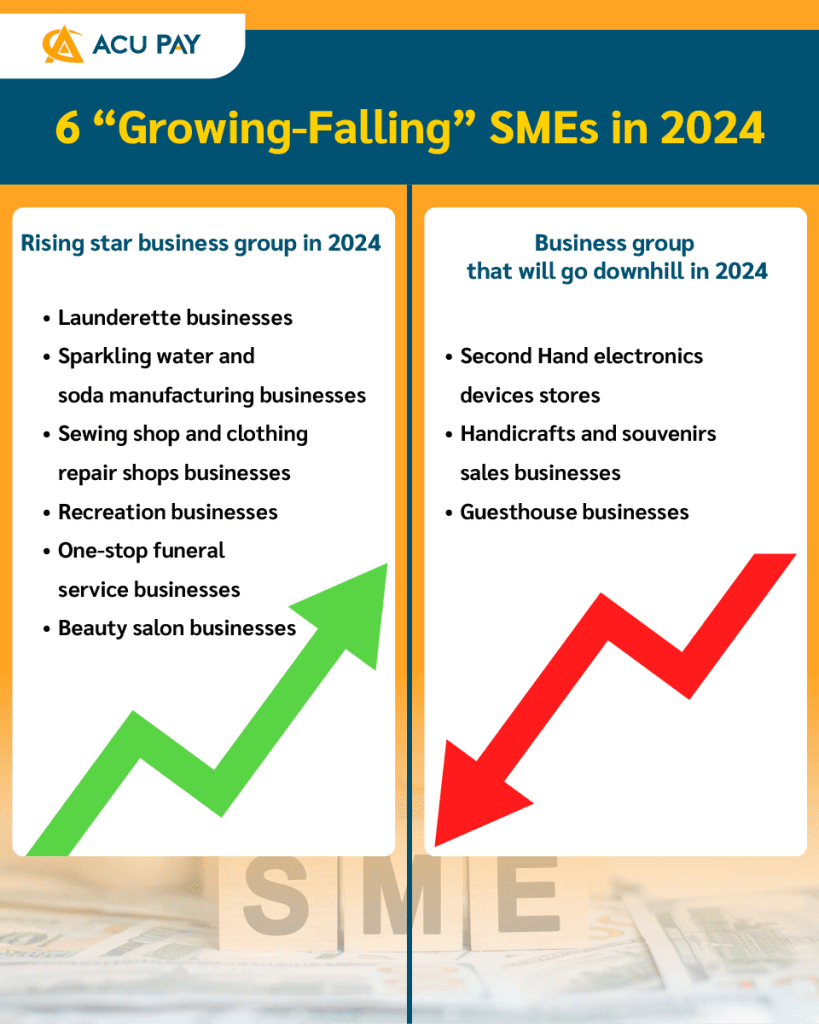 6 “Growing-Falling” SMEs in 2024 - ACU Pay