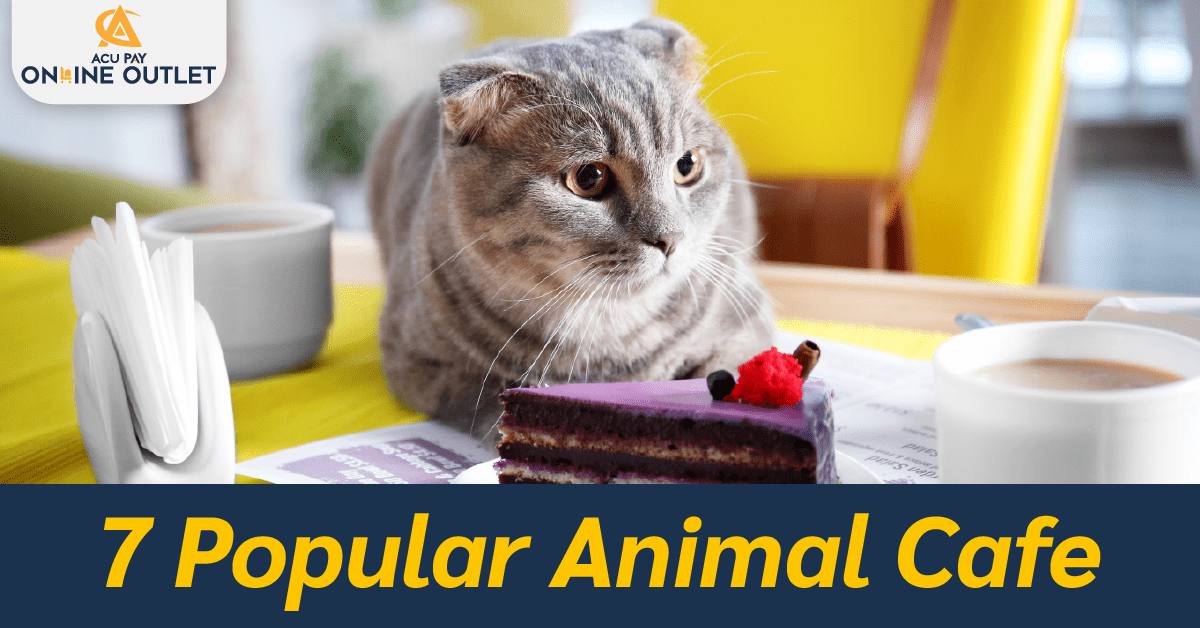7 Popular Animal Cafe - ACU Pay
