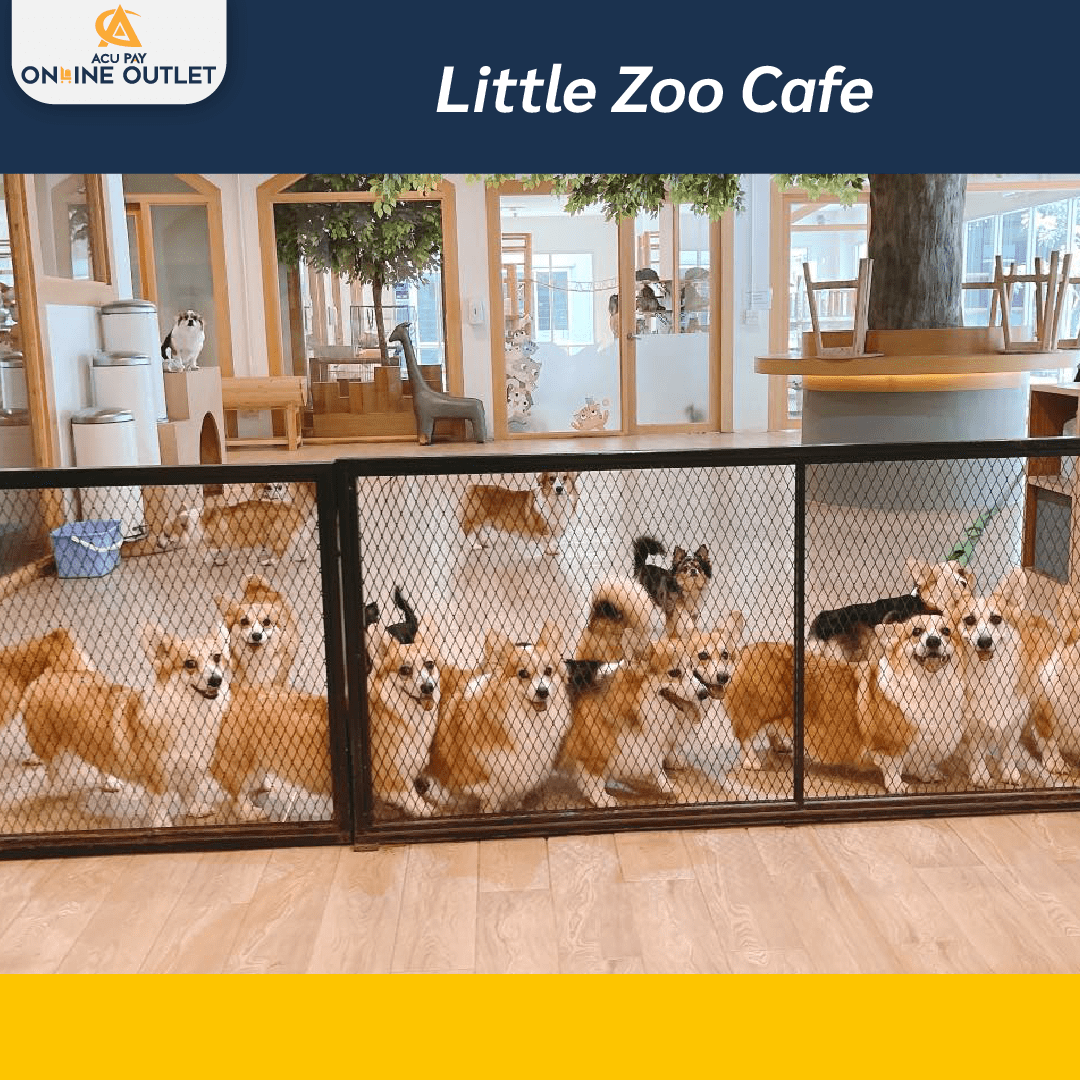 7 Popular Animal Cafe - ACU Pay