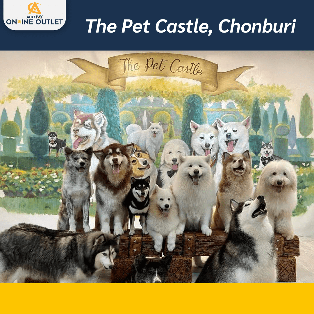 7 Popular Animal Cafe - ACU Pay